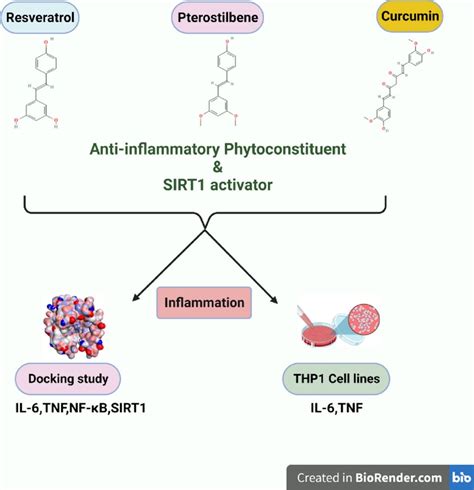 Comparative Analyses Of Anti Inflammatory Effects Of Resveratrol