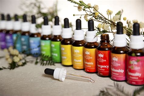 Combination Essences Buy Online New Vistas Healthcare Uk And Ireland