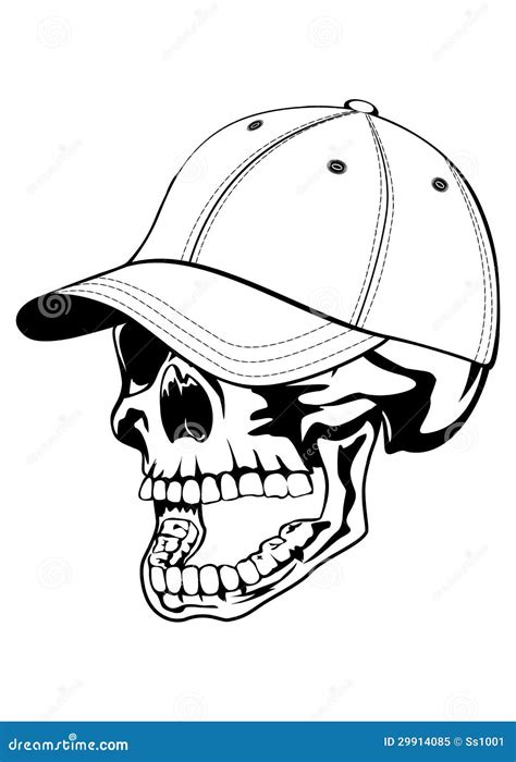 Skull In Cap Stock Vector Illustration Of Fashion Gothic 29914085