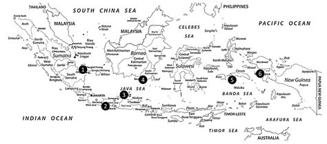 Scielo Brasil Disclosure Of Genetic Diversity Of Mackerel Fish