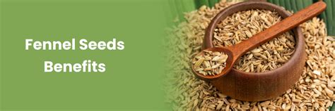 Fennel Seeds Digestive Health Benefits