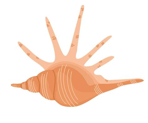 Concha Mano Dibujar Vector Ilustración Aislado En Blanco Antecedentes