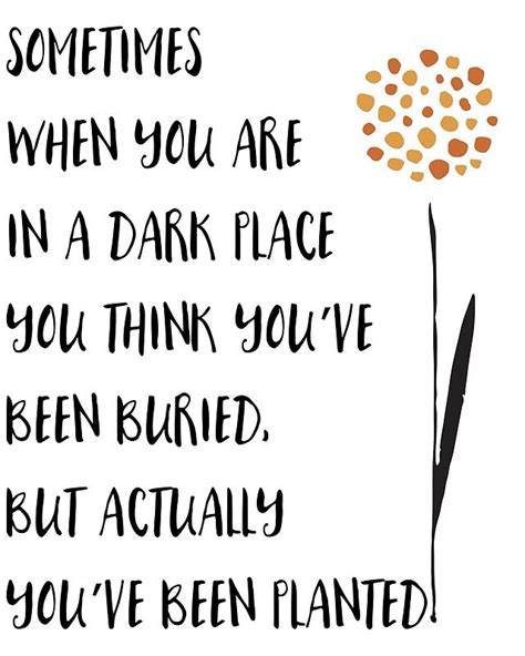 You Ve Been Planted Photographic Print By DeificusArt Typography