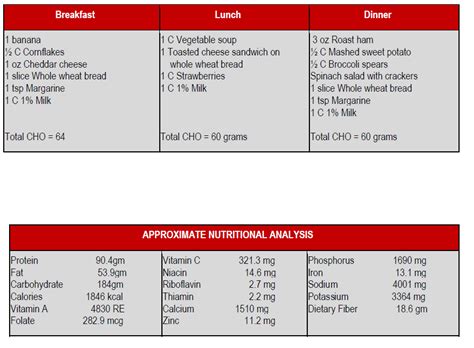Consistent Carbohydrate Diet D151 My Wordpress