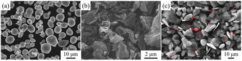 Microstructure Of The Raw Materials Used In This Work A Sem Image Of