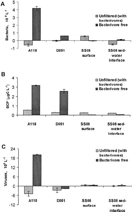 Temporal Variations Over 24 H Of Viral Abundance A Bacterial