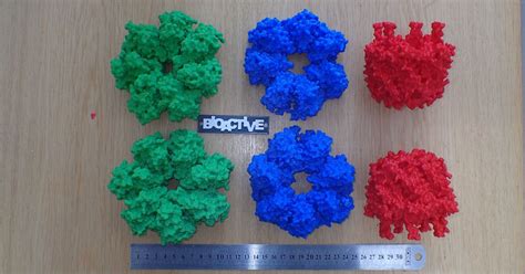 20s Yeast Proteasome By Marius Mihasan Download Free Stl Model