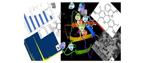 Journal Of Biomolecular Structure And Dynamics Vol 41 No 23