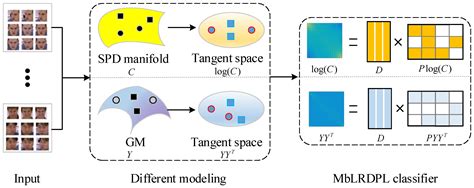 Manifolds Based Low Rank Dictionary Pair Learning For Efficient Set
