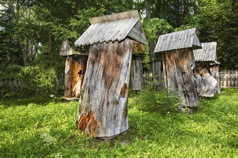 29 Beautiful Backyard Bee Hives