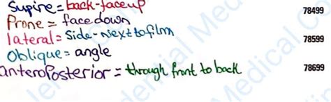 CPT Book Notes MedicalCodingbyJen