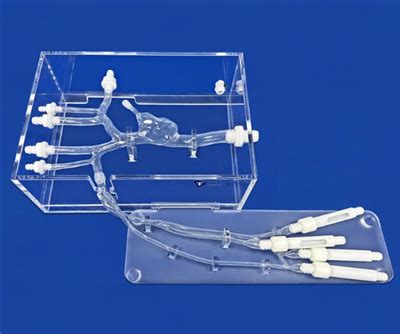 PICC Line Placement A Vital Procedure For Long Term Intravenous Access Knowledge
