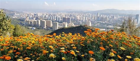 西宁北山市场城北区第6页大山谷图库