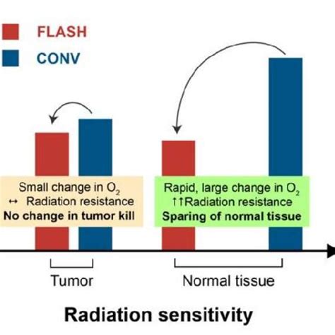 Relative Oxygen Pressure Vs Radiation Sensitivity Adapted From Cooper