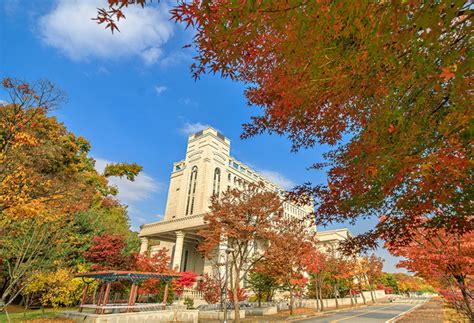 韩国庆熙大学研究生专业有哪些？ 知乎