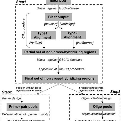 Possible Types Of Blast Alignments Between A Probe Query And The S Download Scientific