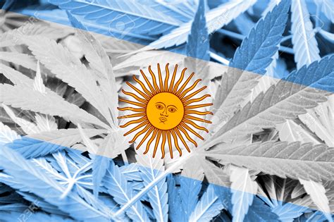 Consumo De Marihuana En Argentina Aumentó Más De Tres Por Ciento