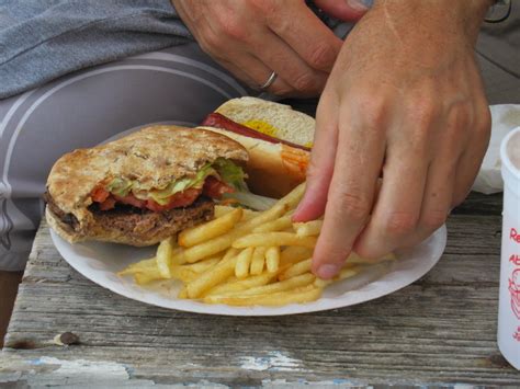 Following The Equator Voyages Of Equinox Stranded Naked Cheeseburger Beach Party