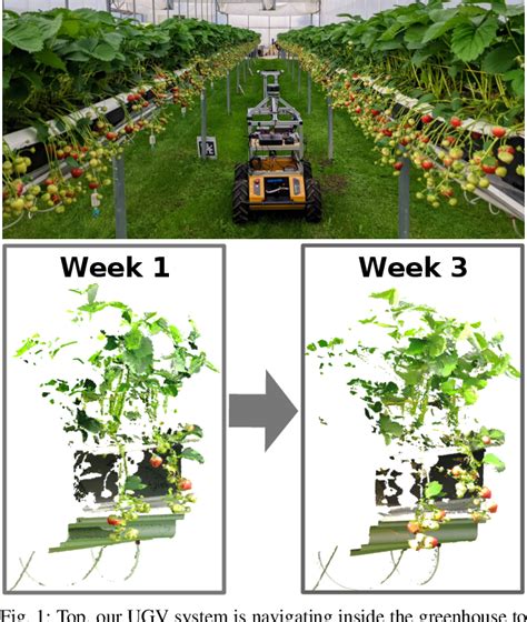 Figure 1 From Fruit Tracking Over Time Using High Precision Point