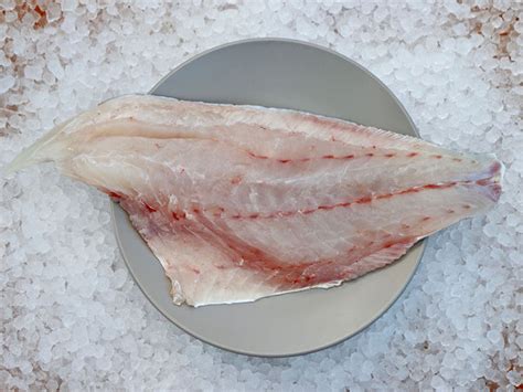 Fresh Florida Grouper Filets Black Grouper Red Grouper Gag Grouper Keys Fresh Seafood