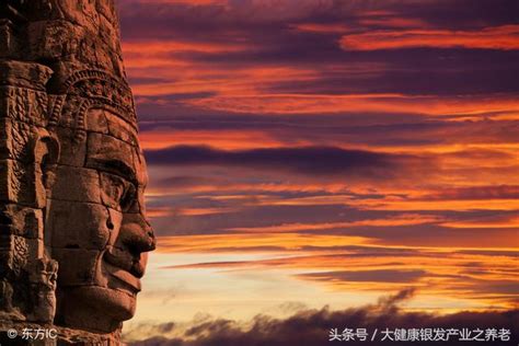 養老院內老年人的性健康及應對思考 每日頭條