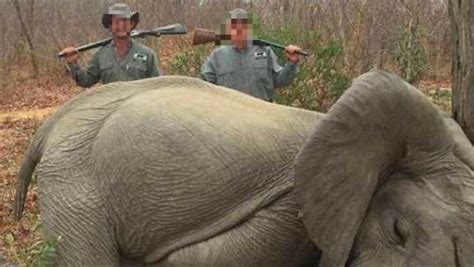 Colère En Voyant Cette Photo De Chasseurs Qui Posent Fièrement à Côté D