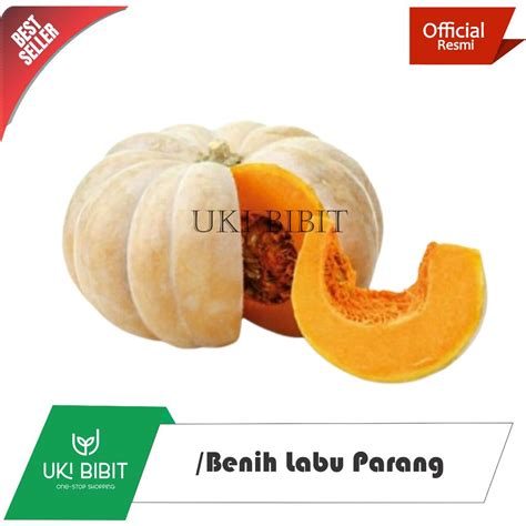 Jual 20 Butir Benih Biji Labu Parang Labu Kuning Waluh Besar