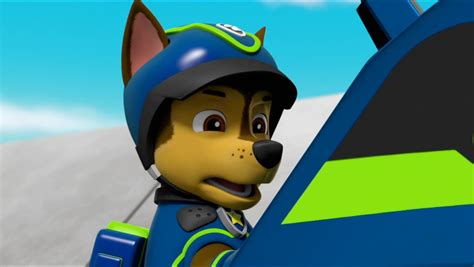 Pups Save An Underground Chickentrivia Paw Patrol Wiki Fandom