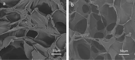 Sem Micrographs Of Chitosan Gelatin Composite Foam A Dioxane Acetic