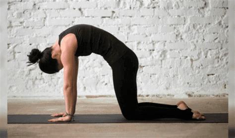15 Ejercicios Para Crecer De Estatura Y Tener Una Postura Correcta En