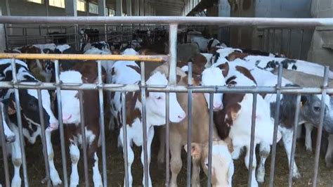 La Sequía Hace Estragos En El Campo Y El Gobierno Anuncia Ayudas De
