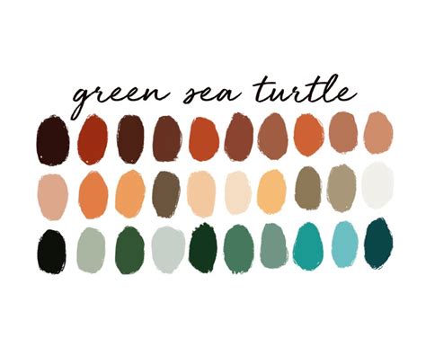 Digital Color Palette For Procreate Etsy