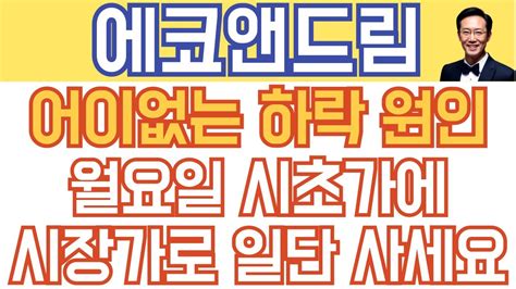 에코앤드림 주가전망 어이없는 하락원인 월요일 시초가에 시장가로 일단 사세요 Youtube