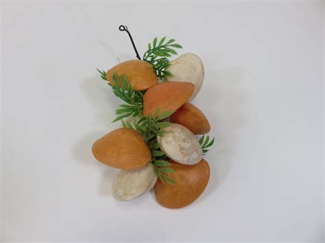 Imitation Shell String Hl Ireland And Allied Point Of Sale