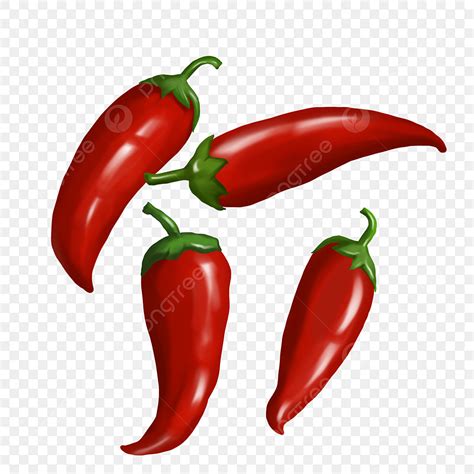 고추 일러스트 붉은 고추 작은 고추가 고추 Png 일러스트 및 Psd 이미지 무료 다운로드 Pngtree