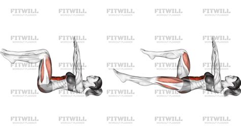 Dead Bug Guia De Exercícios Vídeo Técnicas Benefícios Como Fazer
