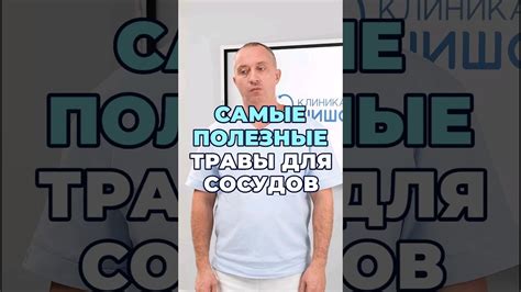 Самые полезные травы для сосудов #здоровье #шишонин #сосуды - YouTube