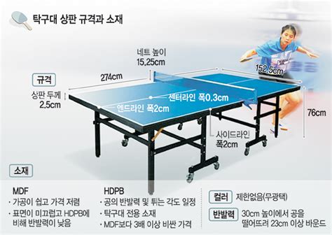 상식 탁구테이블 규격 알아보기 네이버 블로그