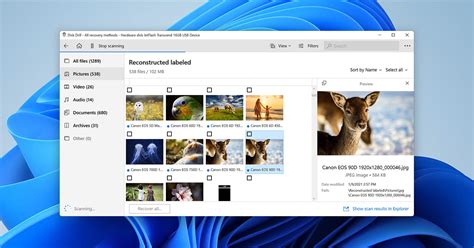 recovery software for windows quyasoft