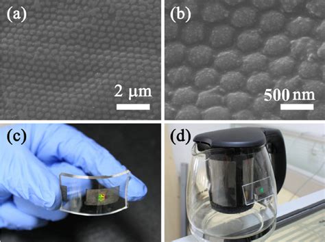 Flexible Ag Nanodot Arrays On Pdms A Sem Image Of Ag Nanodot Arrays Download Scientific