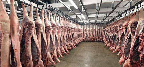 Pork Meat Equipment/Pork Meat Insight-How to Process Pork Meat