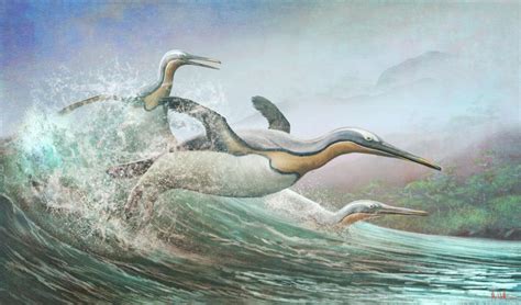 Kumimanu Biceae A Giant Penguin From The Late Palaeocene Of New