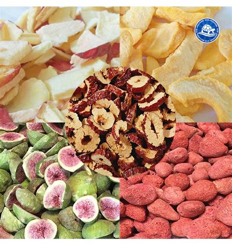 [장수왕 묶음배송]동결건조 과일칩 200g 1kg모음 딸기칩 무화과칩 복숭아칩 망고칩 사과칩 대추칩 티몬