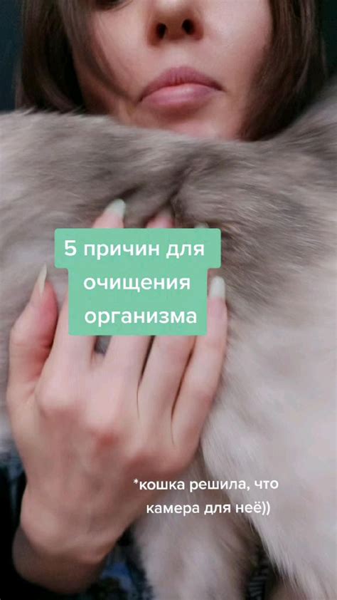 Пин на доске Сибирское здоровье Siberian Wellness Работа Онлайн