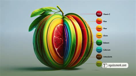 Rahasia Kesehatan Tersembunyi Kenali 9 Manfaat Buah Kedondong Untuk