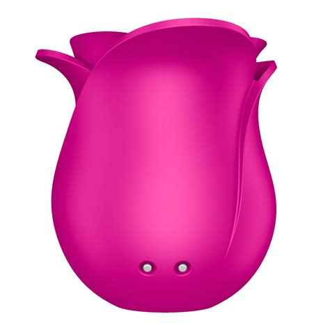 Satisfyer Pro 2 Modern Blossom Air Pulse Vibrator Hot Pink Simply