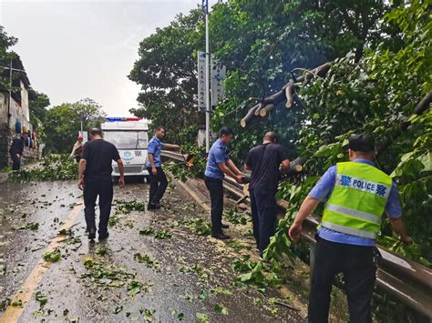 綦江公安顶狂风逆暴雨 警服蓝护平安 中国网