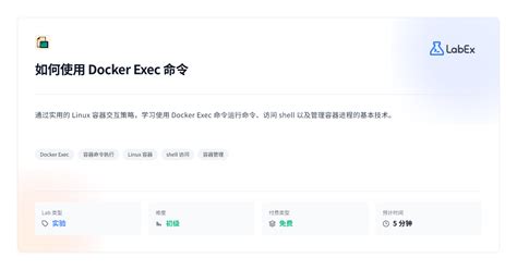 如何使用 Docker Exec 命令 Labex