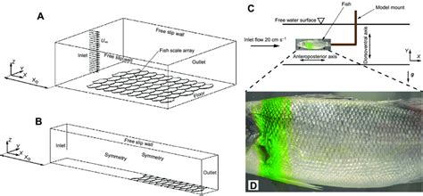 Computational Domain And Experimental Set Up To Assess The Flow Over