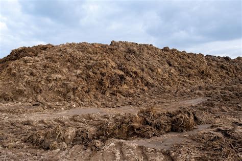 Premium Photo Natural Fertilizer On The Field Manure